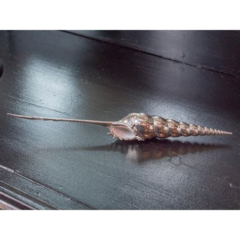 Creel And Gow Silvered Sea Shell Tibia Fusus Chairish