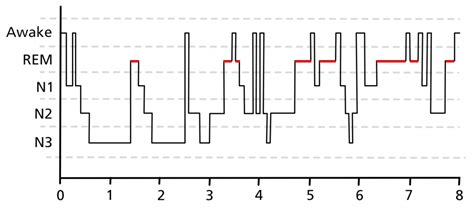 What Happens When We Sleep Oxford Health Camhs