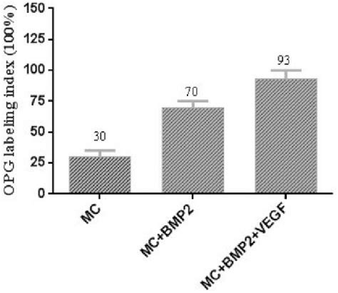 Histomorphometric Analysis Of Newly Formed Bone Figure 4 Download Scientific Diagram
