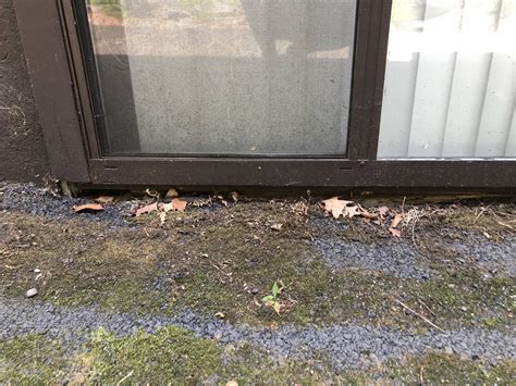 Replacing Rotted Out Window Sill In Basement Block Wall Doityourself