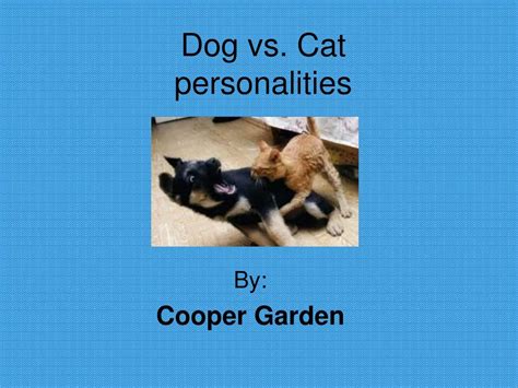 Ppt Dog Vs Cat Personalities Powerpoint Presentation Free Download