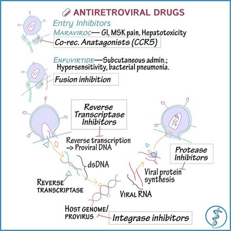 Antiviral Drugs That Target Reverse Transcriptase