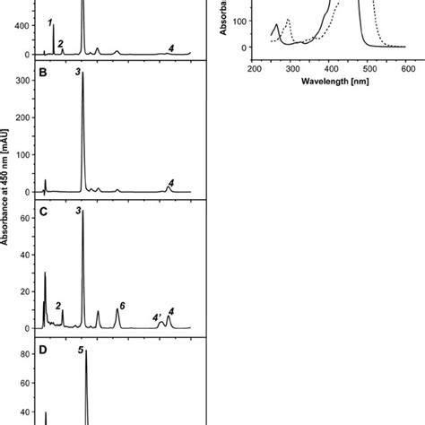 A To D Hplc Elution Profiles Of Carotenoids Extracted From M Luteus