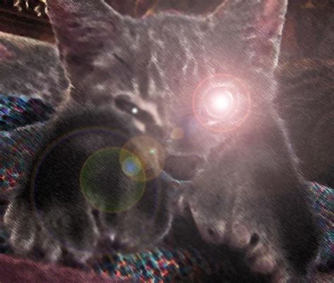 Demonic Kitty By Velika On Deviantart