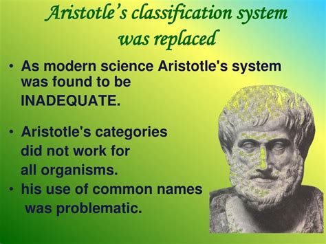 Aristotle System Of Classification At Victoria Thomason Blog