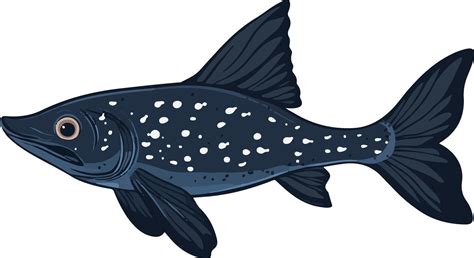 Cute Simple Coelacanth Clipart 52238630 Vector Art At Vecteezy