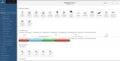 Bind Dns Server Display Problem · Issue 1336 · Webminauthentic Theme