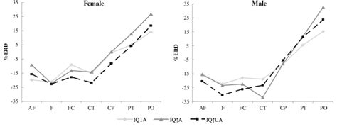 ERD Interaction between A I GROUP Â SEX Â AREA Download Scientific Diagram