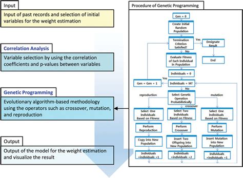 Overview Of The Weight Estimation Model Using Gp This Figure Is