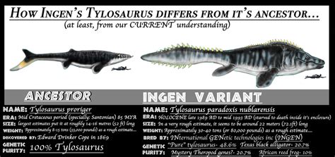 Tylosaurus Size Introducing Hainosaurus Boubker Last Of The Great