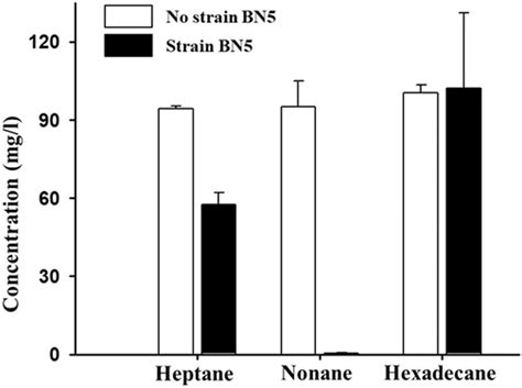 Biodegradation Of Heptane Nonane And Hexadecane By Strain Bn5 In Download Scientific Diagram