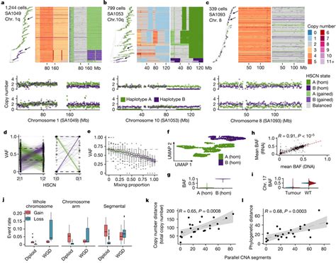 Single Cell Genomic Variation Induced By Mutational Processes In Cancer