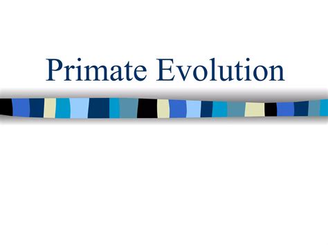 Primate Evolution Ppt