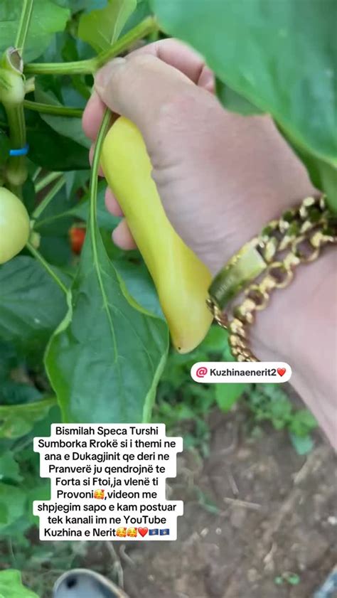 Kuzhina E Nerit Kuzhina E Nerit • Instagram Photos And Videos