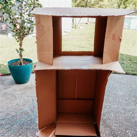 Assembling The Cardboard Boxes The Southerly Magnolia