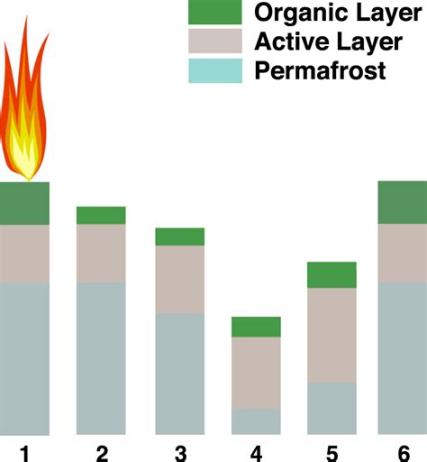 Inference Of The Impact Of Wildfire On Permafrost And Active Layer Thickness In A Discontinuous