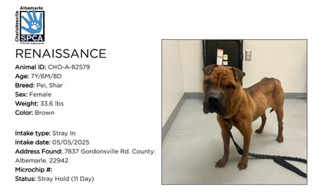 Charlottesville Albemarle Charlottesville Albemarle Spca