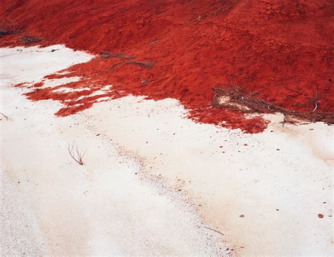 Nathan David Compton