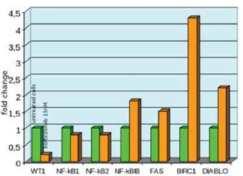 Wt1 Gene Expression Was Observed As Most Downregulated And Birc1 Gene Download Scientific