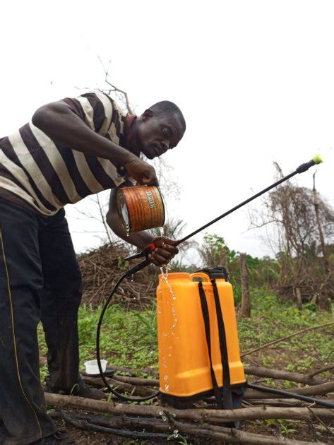 Spraying My Farm With Sunphosate Non Selective Herbicides Plus Ammonia