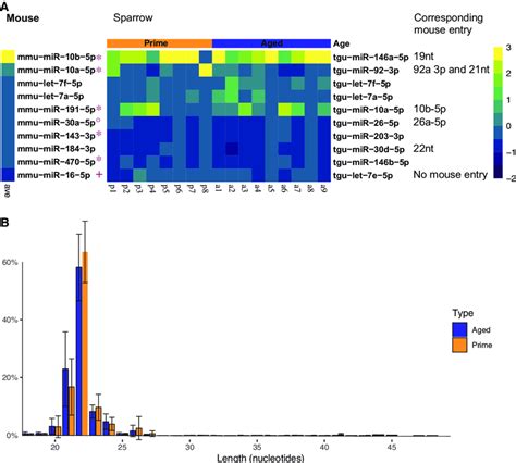 A Heatmap Illustrating 10 Most Abundant Mirnas In Mouse And Sparrow