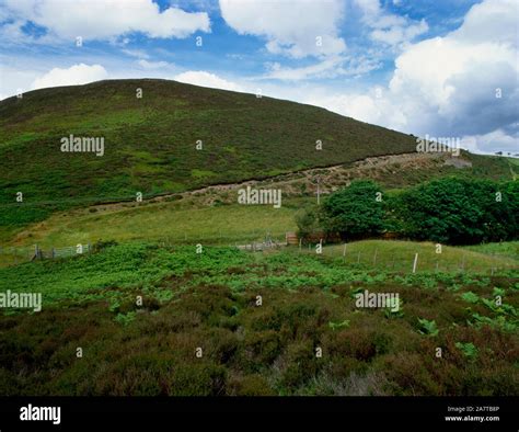 Moel Llanfair Fotos Und Bildmaterial In Hoher Auflösung Alamy