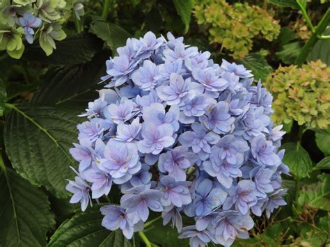 A Feast Or A Famine Extreme Gardening