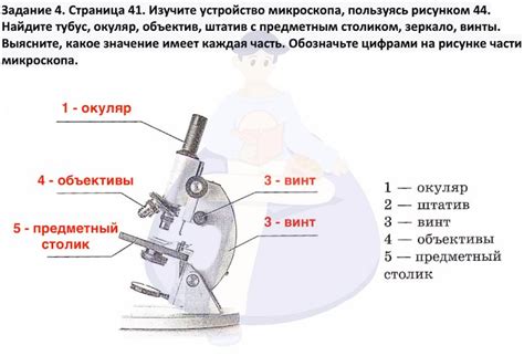 ГДЗ Задание 4. Страница 41. Параграф 9. Увеличительные приборы для ...