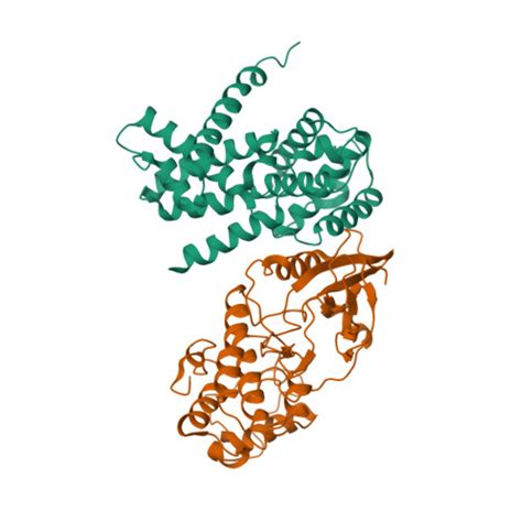Rcsb Pdb 2w99 Crystal Structure Of Cdk4 In Complex With A D Type Cyclin