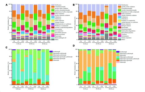 The Relative Abundance Of Dominant Bacterial Ab And Fungal Cd