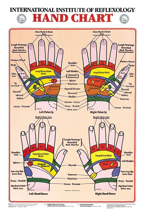 Reflexology Hand Chart Printable Bernard