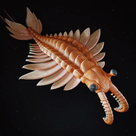 This Funky Critter Is Called Anomalocaris Its An Extinct Arthropod That Lived Around 500