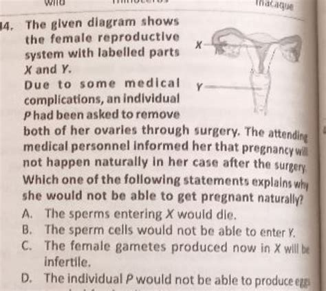 14 The Glven Diagram Shows The Female Reproductlve System With Labelled