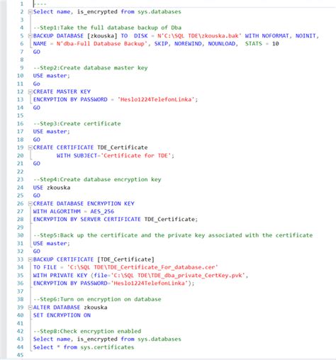encryption mssql database r sql