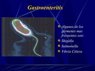 Gastroenteritis Ppt