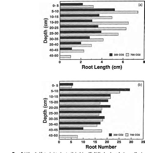 Mandibular Left Second Molar Distal Hemisection Semantic Scholar