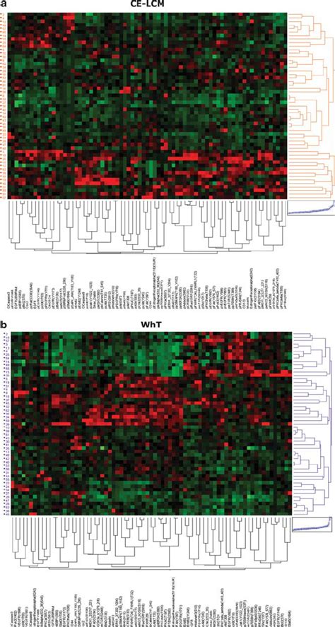 Two Way Unsupervised Hierarchical Clustering Of Laser Capture