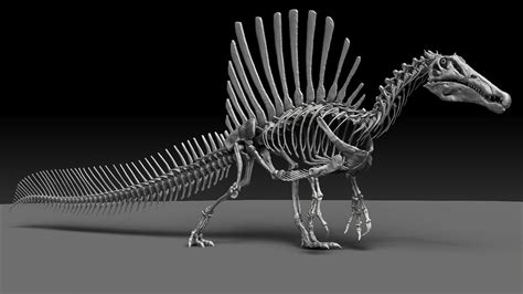 Spinosaurus Skeleton 2022
