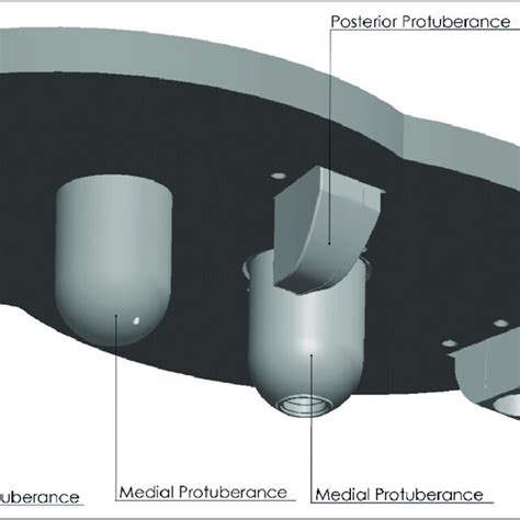 Model Substructure With Skeleton Analogs Download Scientific Diagram