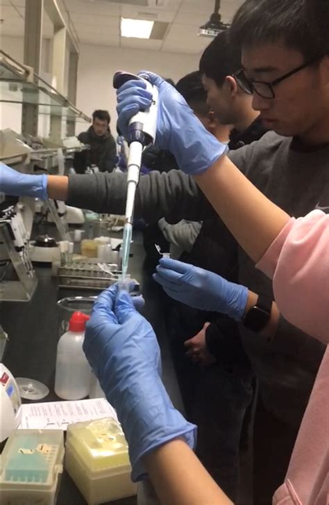 Team USTC Software Collaborations Igem Org