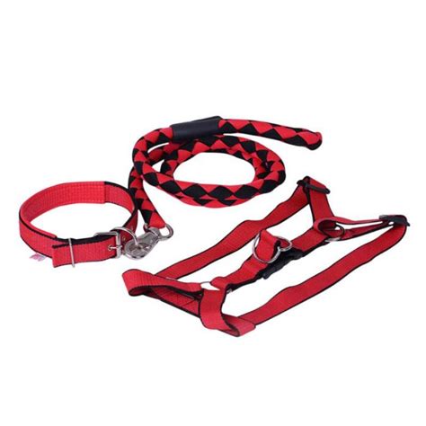 Kit Coleira Peit E Guia Gg Vmpt