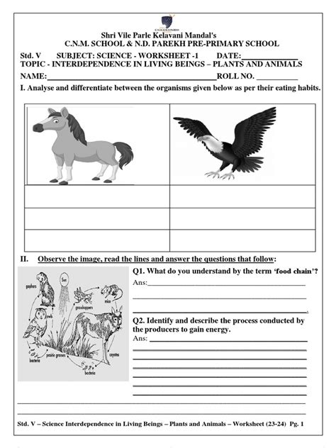 Interdependence In Living Beings Plants And Animals Worksheet 2023 24