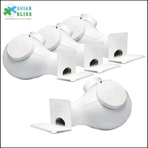 Gourd Bird Houses For Purple Martins Build Maintain And Attract Them