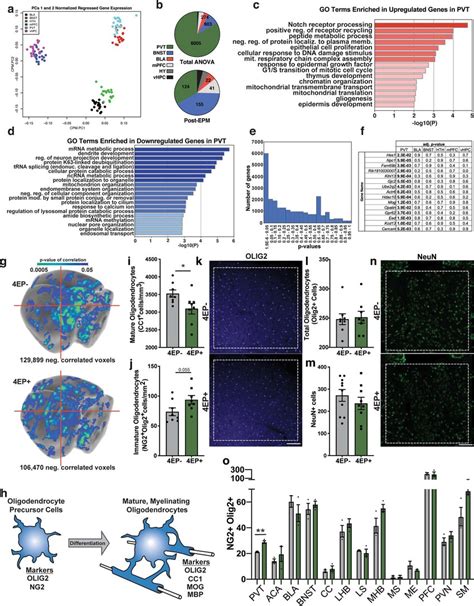 Extended Results Of Mrna High Throughput Sequencing Quantseq And