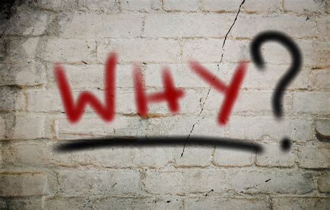 Why” Matters Simple Reasons Why I Consult Christian Muntean