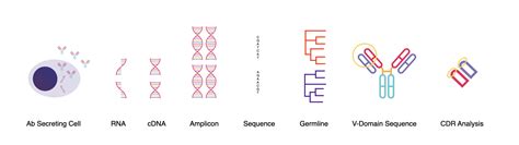 Antibody Sequencing Antibody Solutions