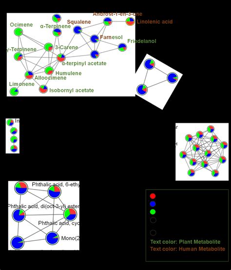 Molecular Networks For Time Averaged Samplers Representing Different