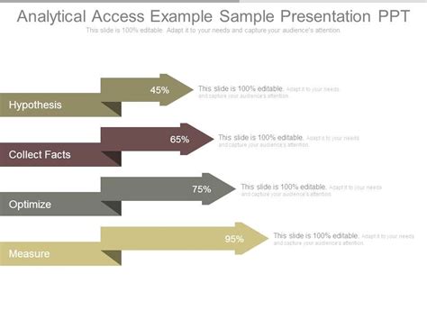 Analytical Access Example Sample Presentation Ppt