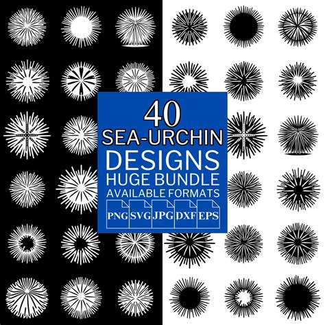 Sea Urchin Svg Bundle Vector Clipart For Cricut And Silhouette Digital