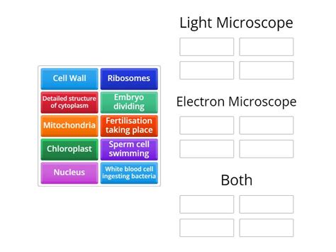 Light Vs Electron Microscope Group Sort